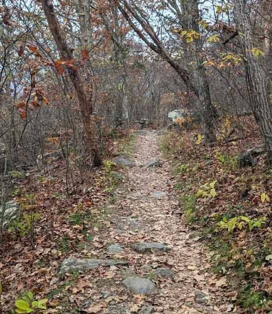 virginia hikes miles worth ftr