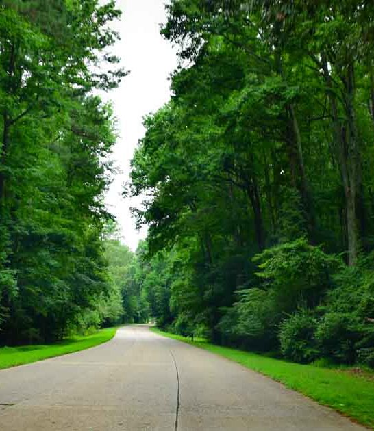 virginia scenic beautiful roads ftr