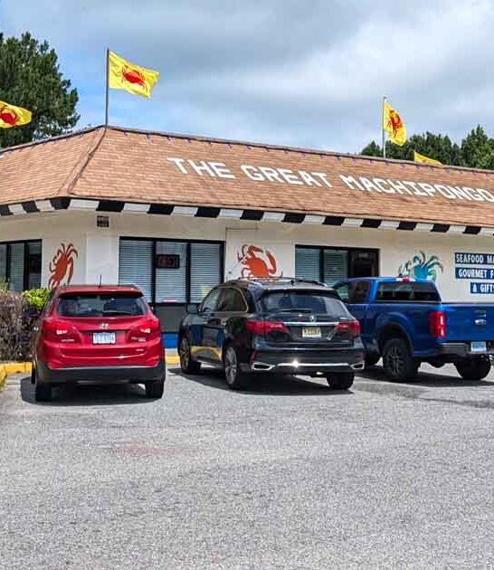 virginia seafood joint awesome ftr