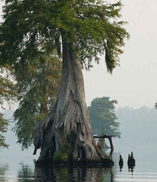 virginia stunning natural wonders ftr