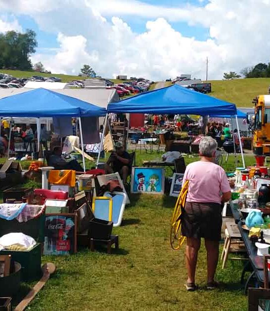 virginia wonderful flea markets ftr