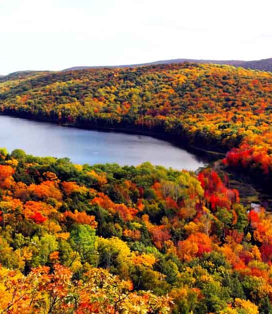 visit surreal michigan park ftr