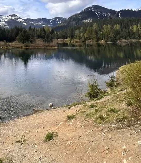 washington easy lovely trails ftr