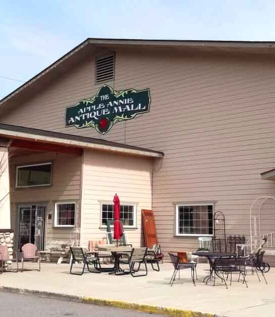 washington giant antique store ftr