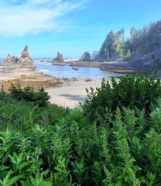 washington gorgeous hidden beach ftr