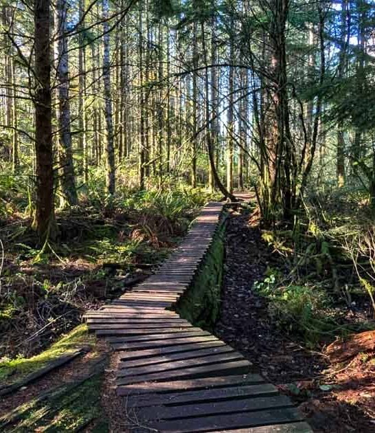 washington gorgeous hikes miles ftr