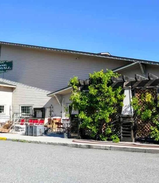 washington hidden antique treasure ftr