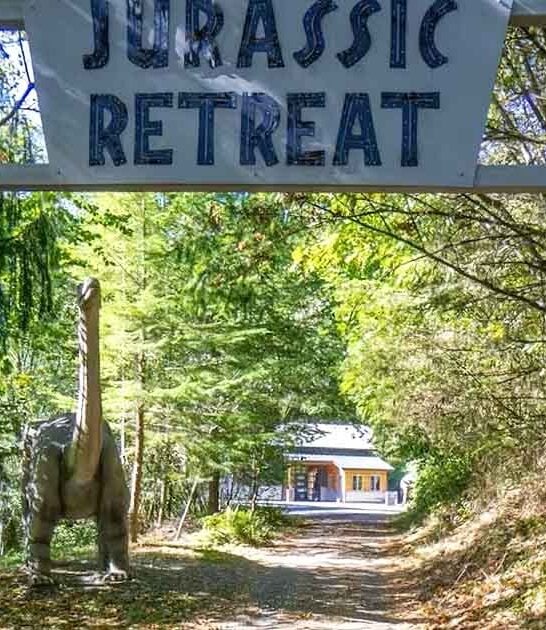 washington home dinosaur airbnb ftr