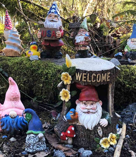 washington magical gnome trail ftr