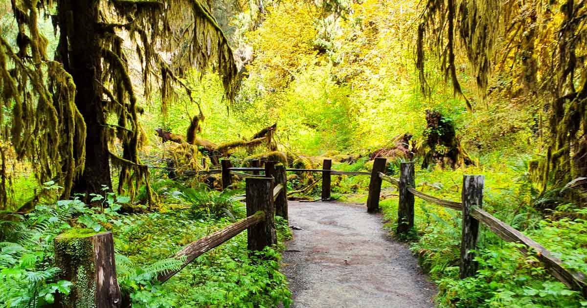 Most People Don't Know Washington Is Hiding One Of America's Most ...