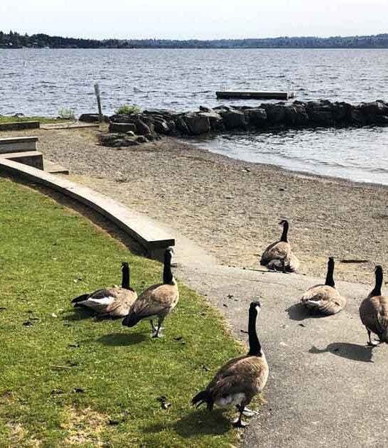 washington quiet escape beach ftr