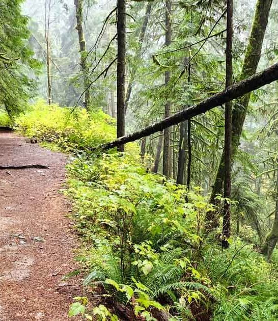 washington short sweet hikes ftr