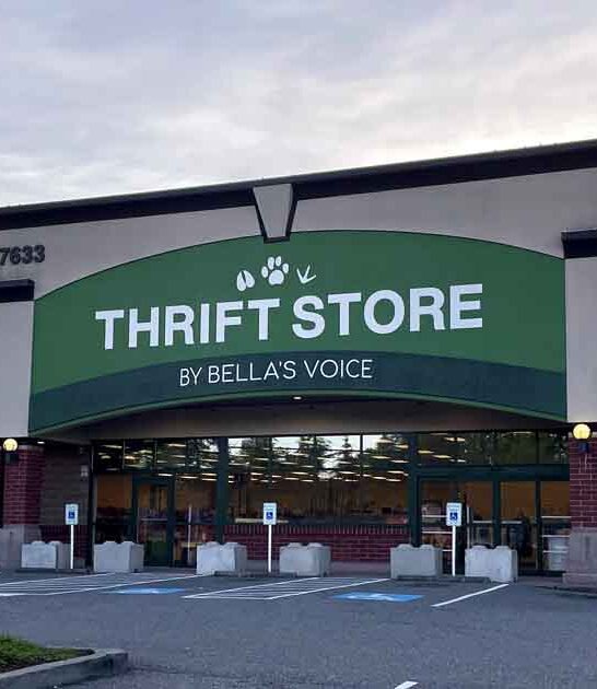 washington thrift store drive ftr