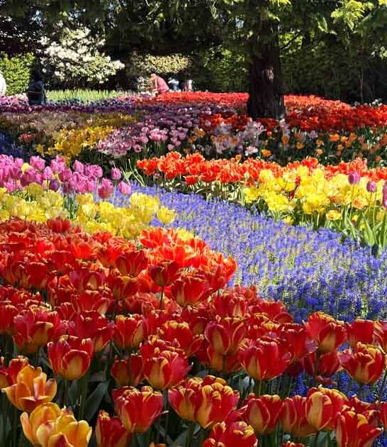 washington unbelievably colorful places ftr