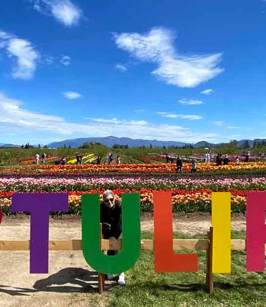 10 Unexpected Things To Do In Washington That Will Surprise Even Lifelong Residents