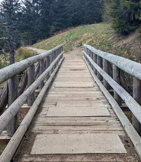 washington unforgettable family hikes ftr