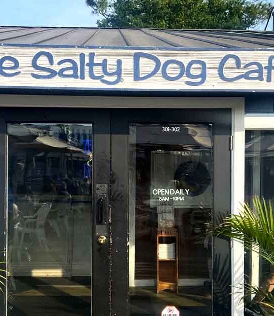 waterfront seafood south carolina ftr