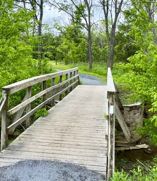 weekend getaway park virginia ftr