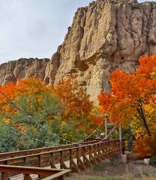 whimsical arizona spots bucket ftr