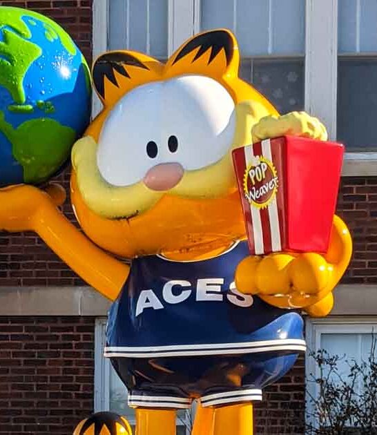 whimsical cat trail indiana ftr