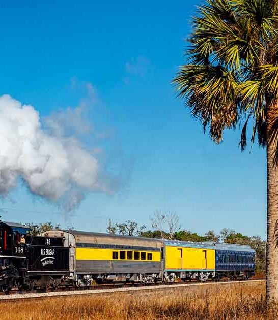 whimsical florida train storybook ftr