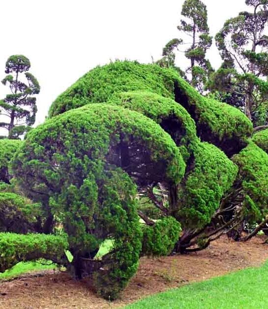 whimsical landmark south carolina ftr