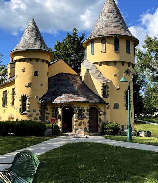 whimsical michigan spots bucket ftr