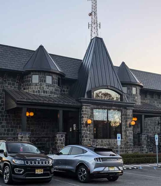 whimsical new jersey diner ftr