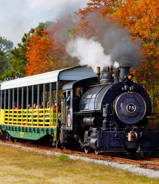 whimsical south carolina train ftr