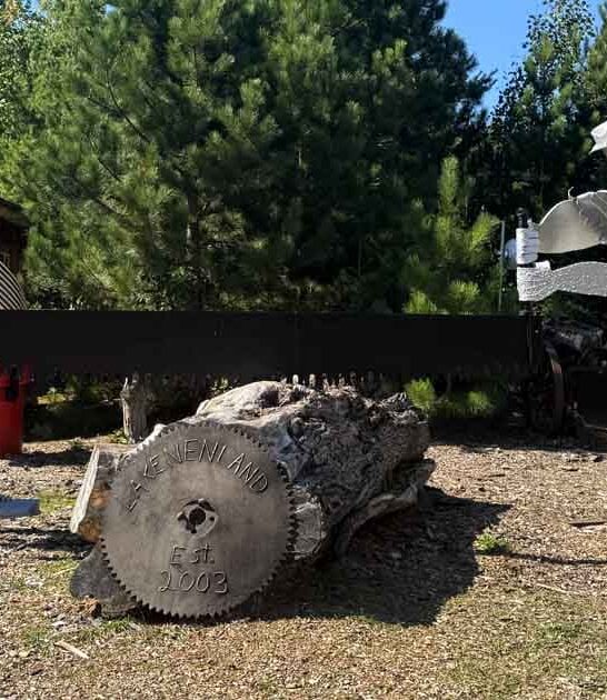 whimsical unique landmark michigan ftr