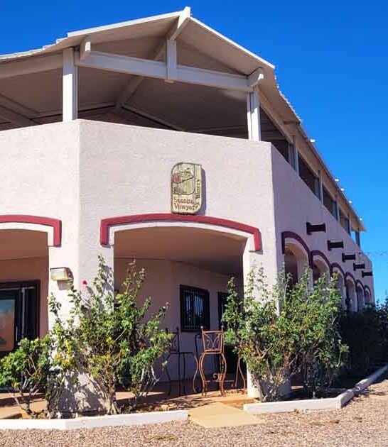 Wine Enthusiasts Are Flocking To This Arizona Vineyard And Once You Visit You&rsquo;ll Understand Why