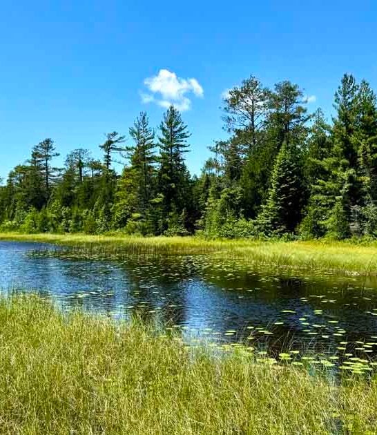 wisconsin state park ancient ftr