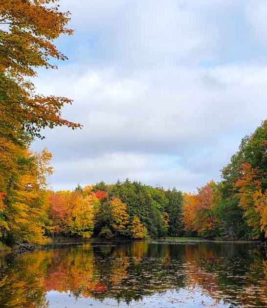 wisconsin state park peaceful ftr