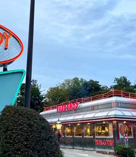 wonderful diner new york ftr