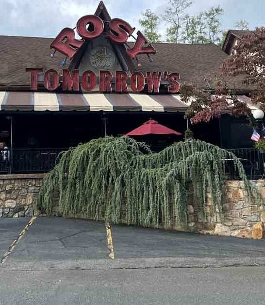 You&rsquo;ll Feel Like A Kid Again Inside This Wonderfully Whimsical Connecticut Restaurant