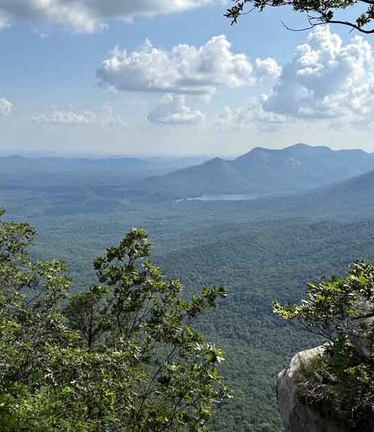 wonders natural south carolina ftr