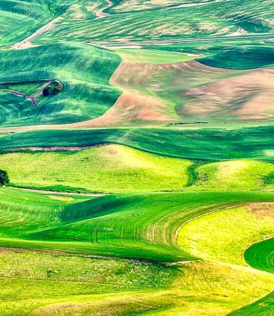 These 8 Natural Wonders In Washington Are So Surreal, You&rsquo;ll Think You&rsquo;re Dreaming