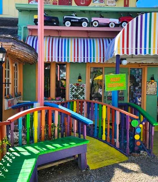 wonderuflly weird florida restaurant ftr