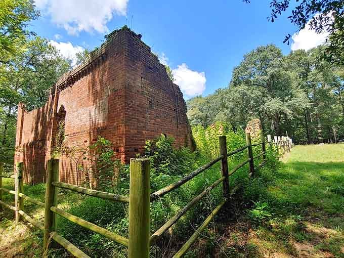 Nature's patient reclamation project continues as vines embrace century-old chimneys that once billowed smoke from thriving industry below.
