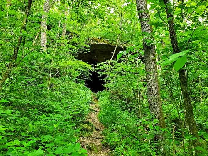 That moment when you realize Missouri's been hiding geological treasures in plain sight all along.