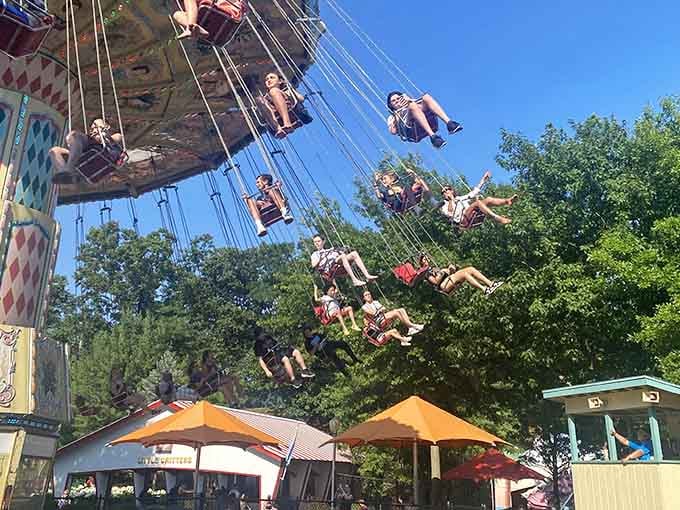 Those swing chairs have been launching people skyward for generations, proving some thrills never go out of style.