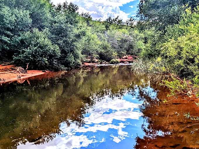When the sky decides to take a swim too, you get reflections that look better than any screensaver ever could.