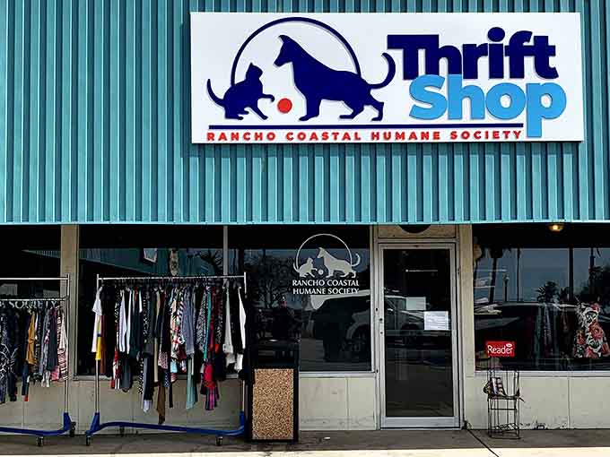 That blue and white sign isn't just marking a thrift store, it's announcing your new favorite treasure hunt headquarters.
