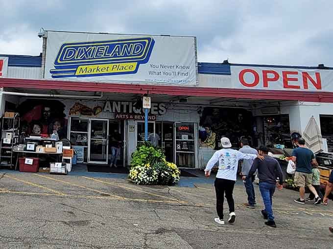 That "You Never Know What You'll Find" slogan isn't just marketing, it's a fair warning for your wallet.