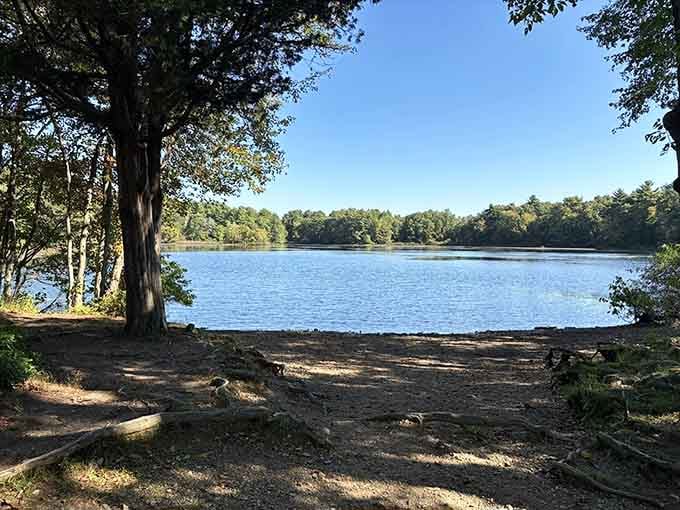 When the trees frame the water like this, you understand why people actually enjoy hiking.
