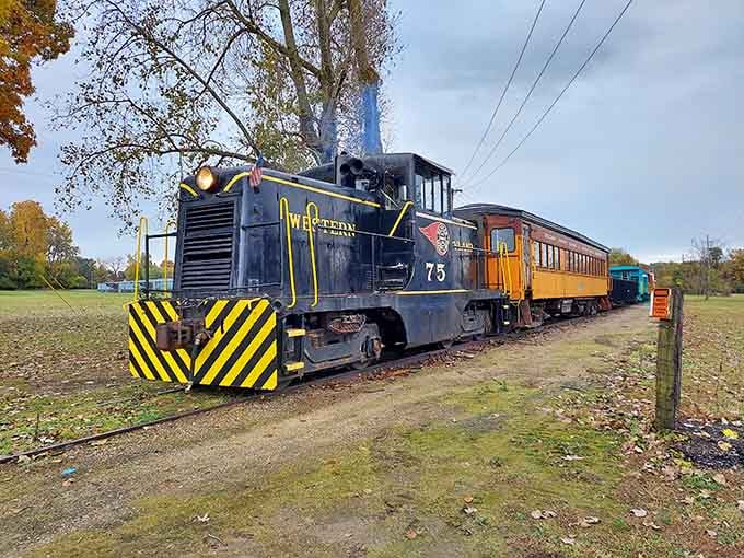 That distinctive turquoise locomotive isn't just pretty, it's your ticket to a slower, sweeter way of seeing Michigan.