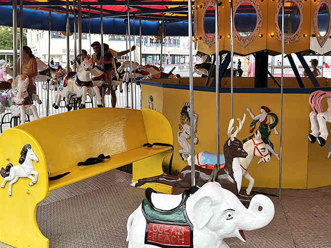 Those colorful rides aren't just for kids, they're for anyone who remembers when summer meant pure, uncomplicated joy.