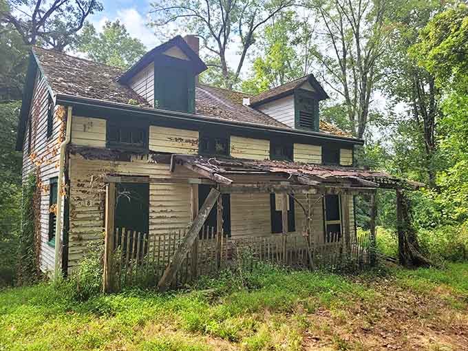 When nature starts reclaiming what humans built, you get this hauntingly beautiful scene frozen in time.