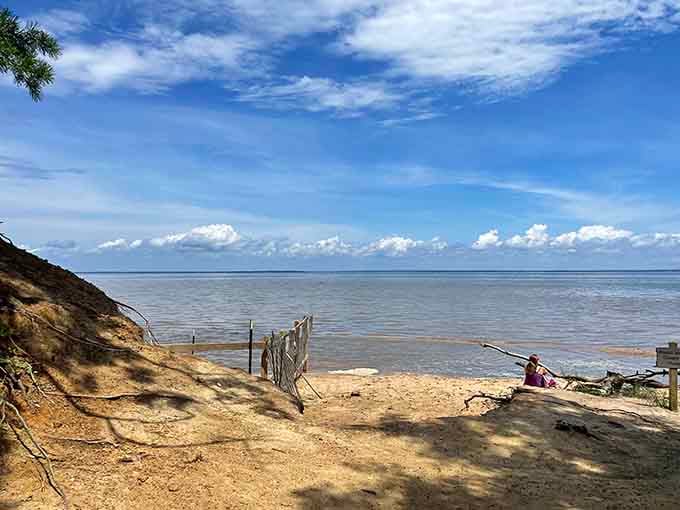 This peaceful shoreline hides prehistoric shark teeth and fossils beneath every step you take along the sand.