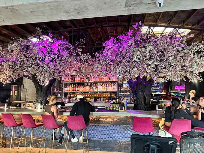 Pink velvet chairs, golden legs, and a tree that blooms forever, because regular restaurants are apparently too mainstream.